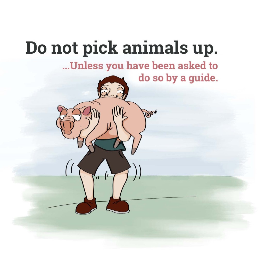 Rules | Kangaroo Creek Farm