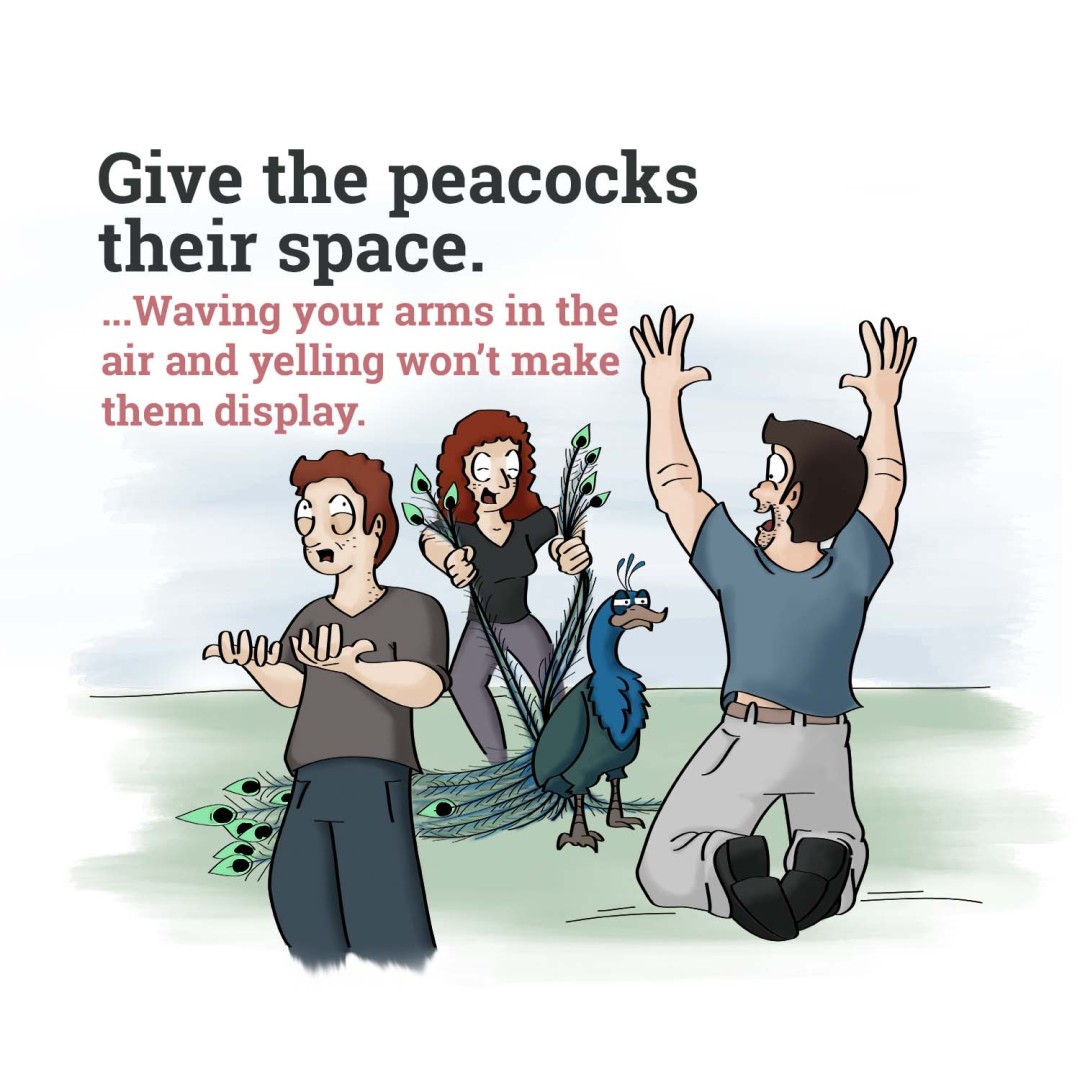 Rules | Kangaroo Creek Farm